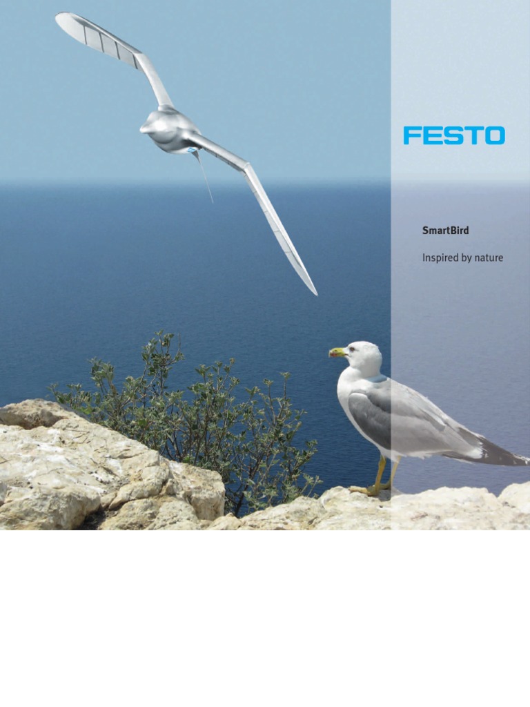 Smart Bird | PDF | Flight | Nature
