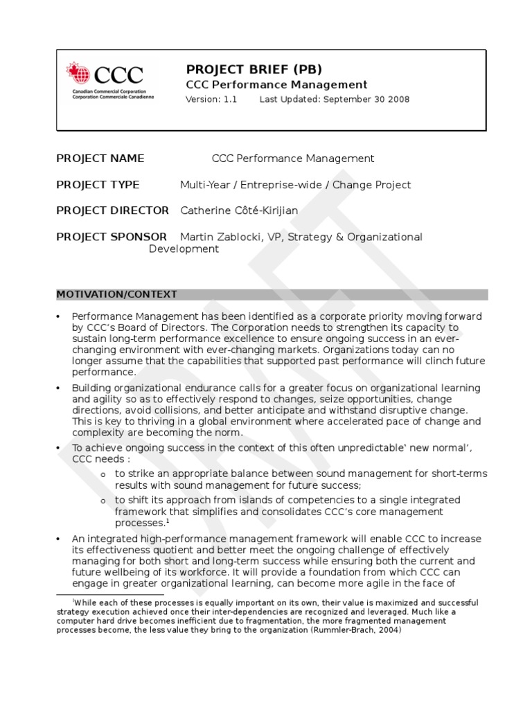 Draft Project Charter | PDF | Performance Management | Governance