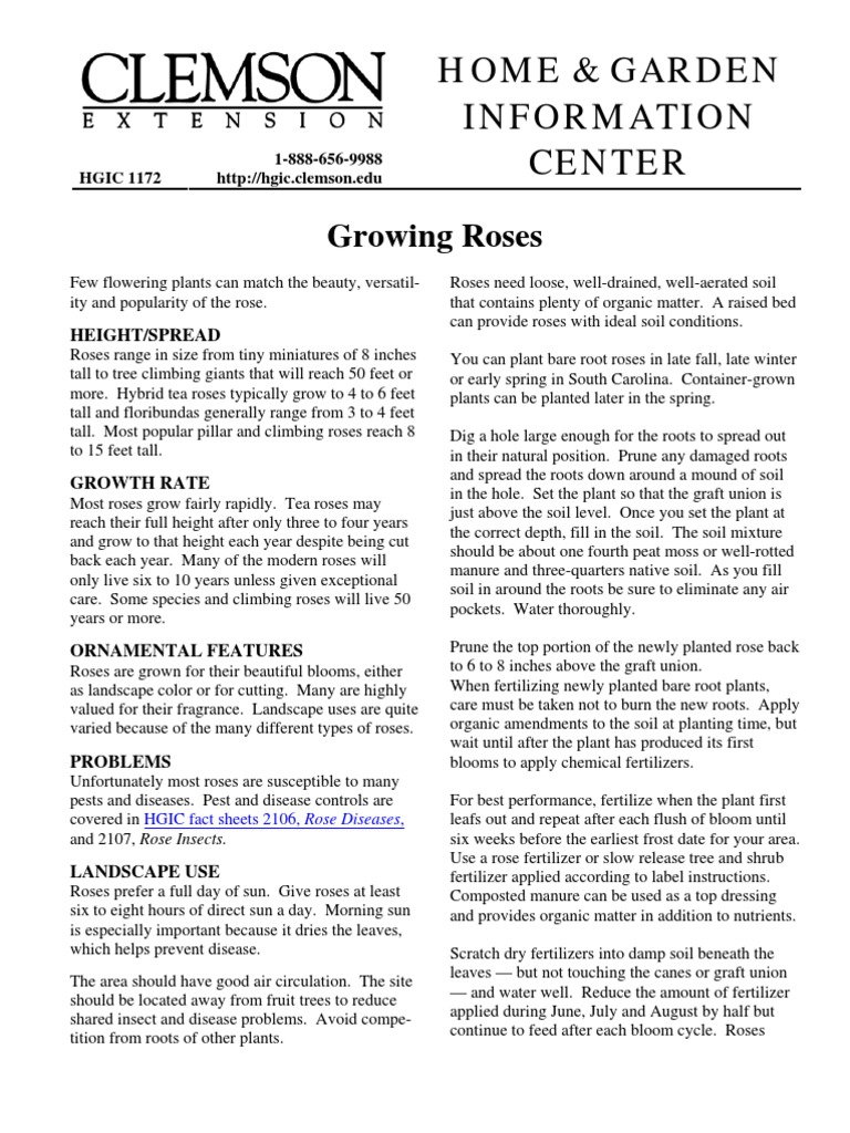 Roses - Growing HGIC1172 | PDF | Rose | Outdoor Recreation