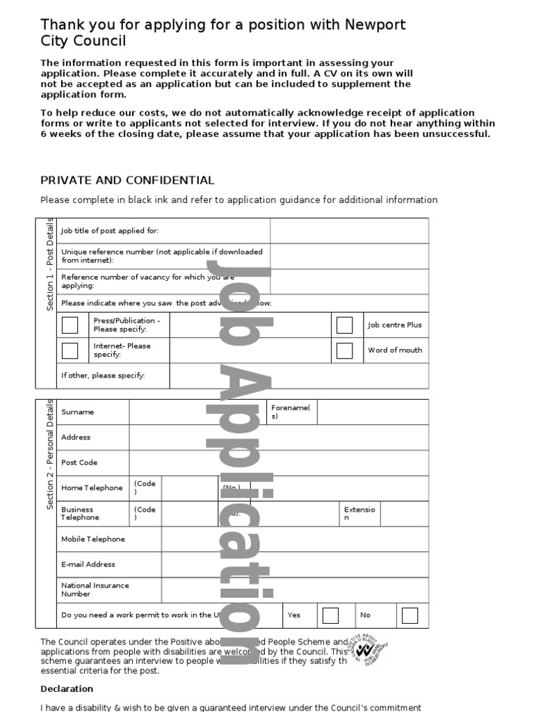 Newport City Council Job Application Guidance | PDF | Race And ...