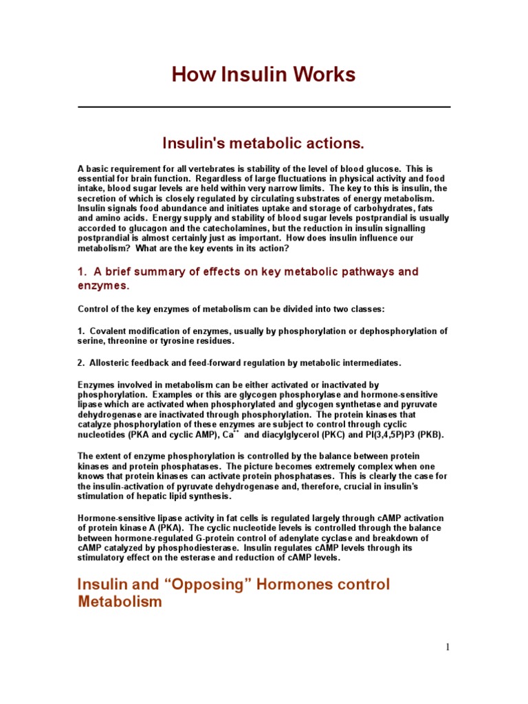 Insulin Mechanism of Action Explained | PDF | Kinase | Insulin