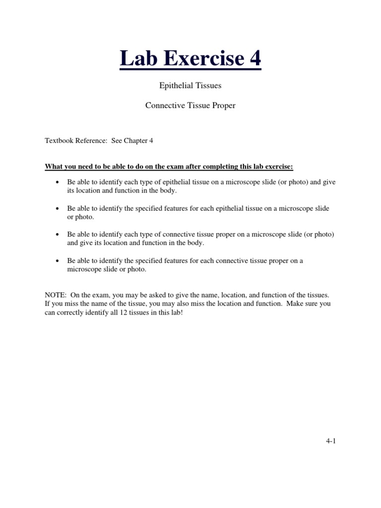 Lab Exercise 4: Epithelial Tissues Connective Tissue Proper | PDF ...