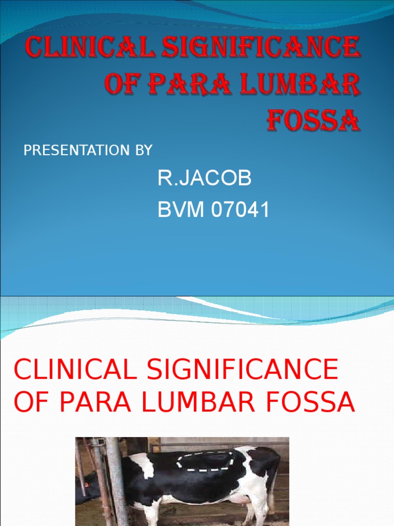 Clinical Significance of para Lumbar Fossa | PDF | Abdomen