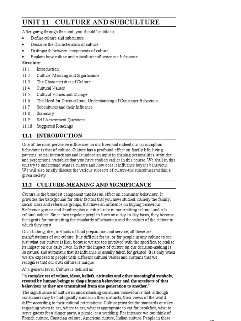 Unit-11 Culture and Subculture Influences | PDF