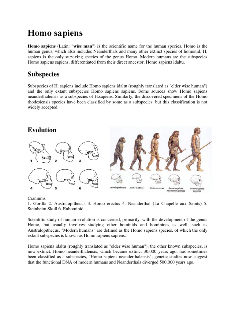 Homo Sapiens | Download Free PDF | Homo | Hominidae