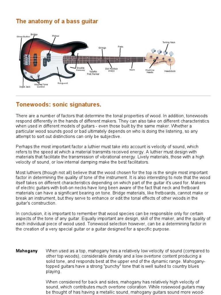The Anatomy of a Bass Guitar | Bass Guitar | Guitars