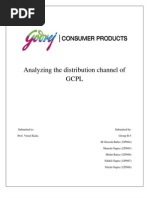 Distribution Channel of Nestle-India | PDF | Warehouse | Nestlé