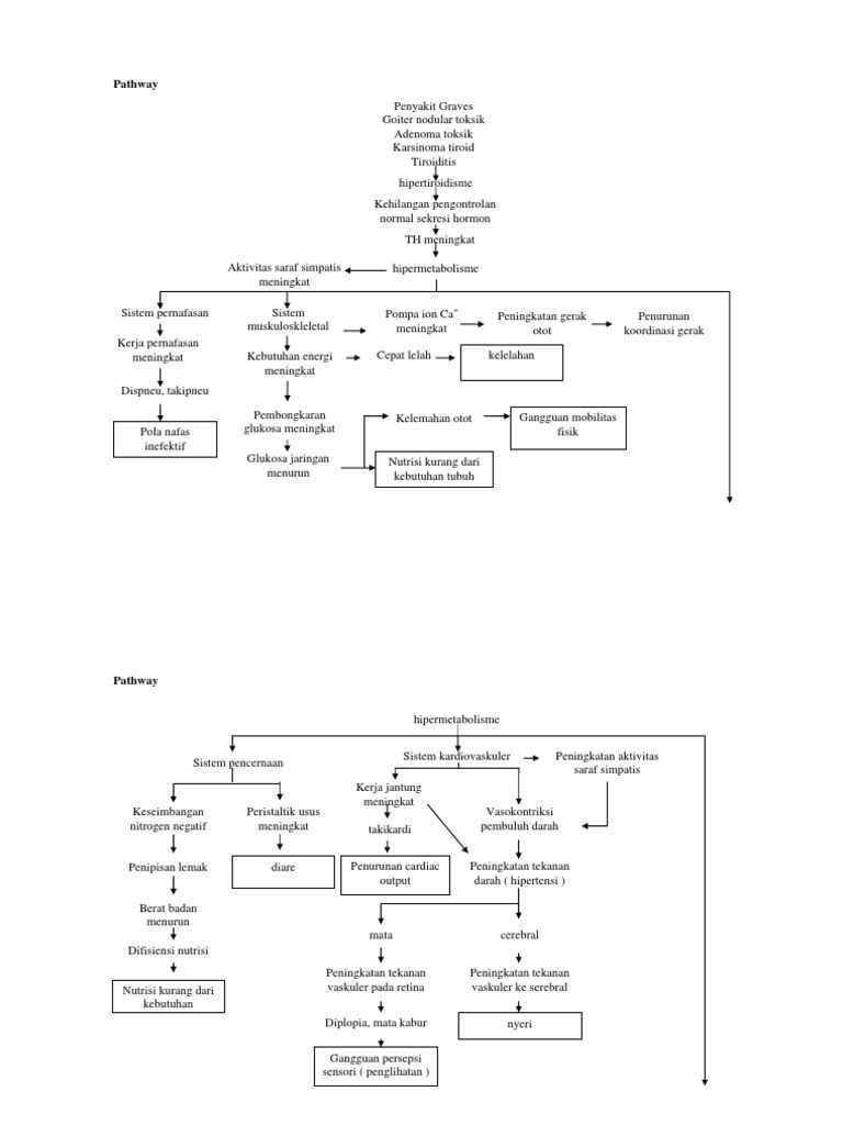 Pathway Hipertiroid | PDF