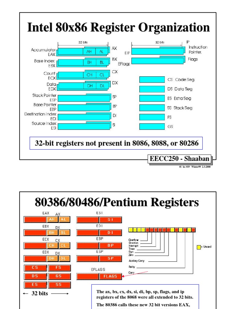 Intel 80x86 Register Organization | PDF | X86 Architecture | Computer Engineering