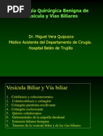 Aerobilia: Causas y Diagnóstico | PDF | Gastroenterología ...