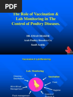 Poultry Medicine Guide & Chart | PDF | Medical Diagnosis | Health Sciences