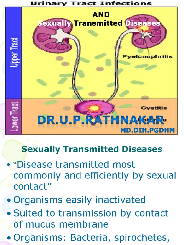 Overview of STDs and UTIs Treatment | PDF | Urinary Tract Infection ...