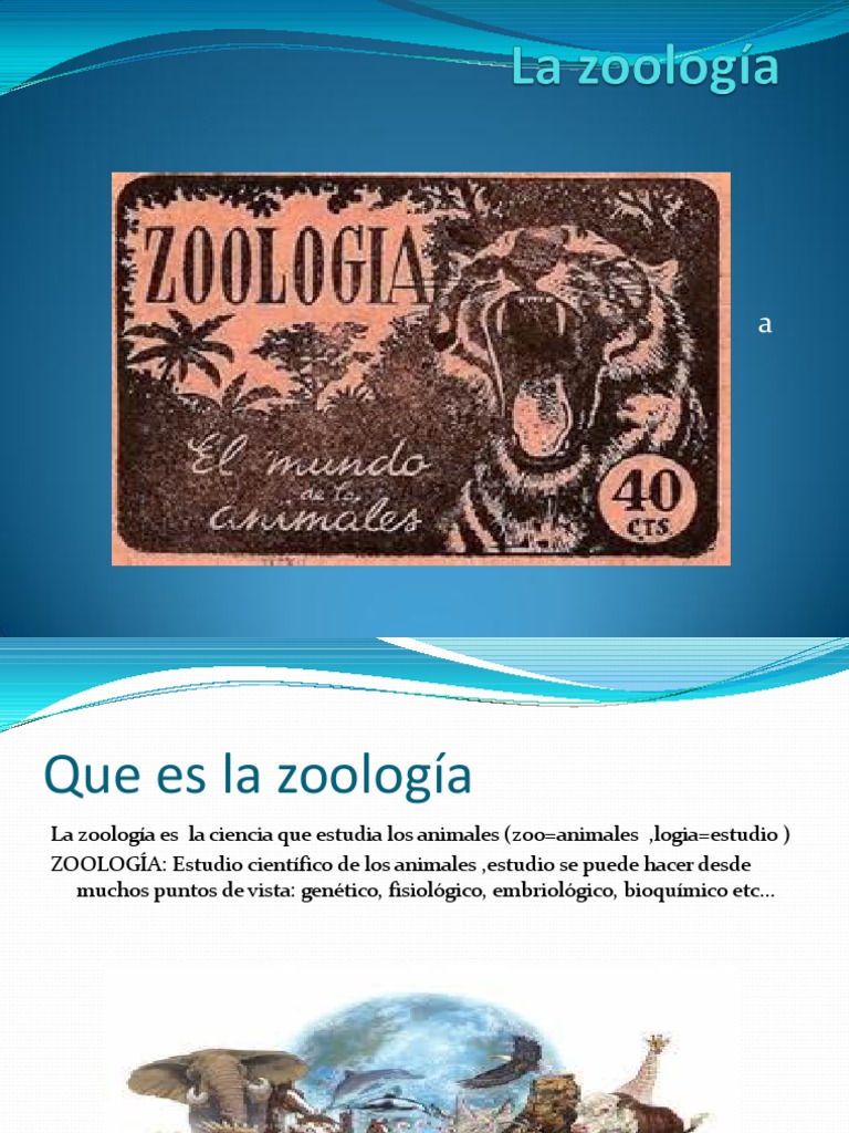 La Zoología | PDF | Especies | Organismos