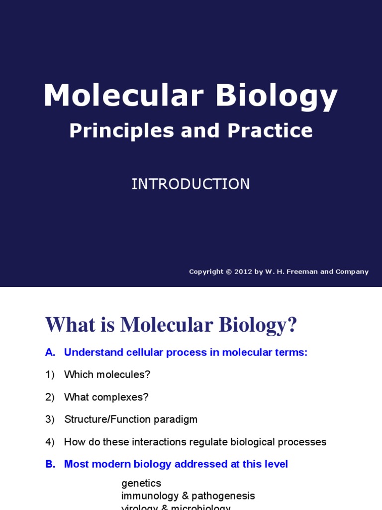 Molecular Biology: Principles and Practice | PDF