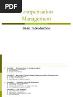 Understanding Broadbanding Pay Structures | PDF | Broadband | Employment