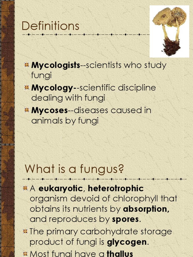 Understanding Fungi: Definitions & Classifications | PDF | Fungus ...