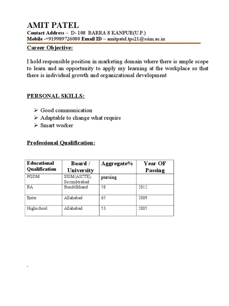 Amit Patel - Marketing Professional CV | PDF