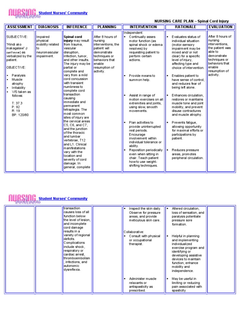 Nursingcribcom Nursing Care Plan Spinal Cord Injury | PDF | Spinal Cord ...
