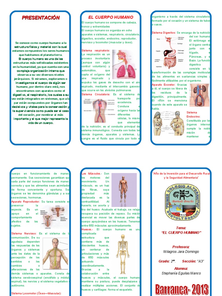 TRIPTICO - El Cuerpo Humano