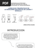 2.2 Genu Valgo y Varo | PDF | Rodilla | Anatomía del miembro inferior