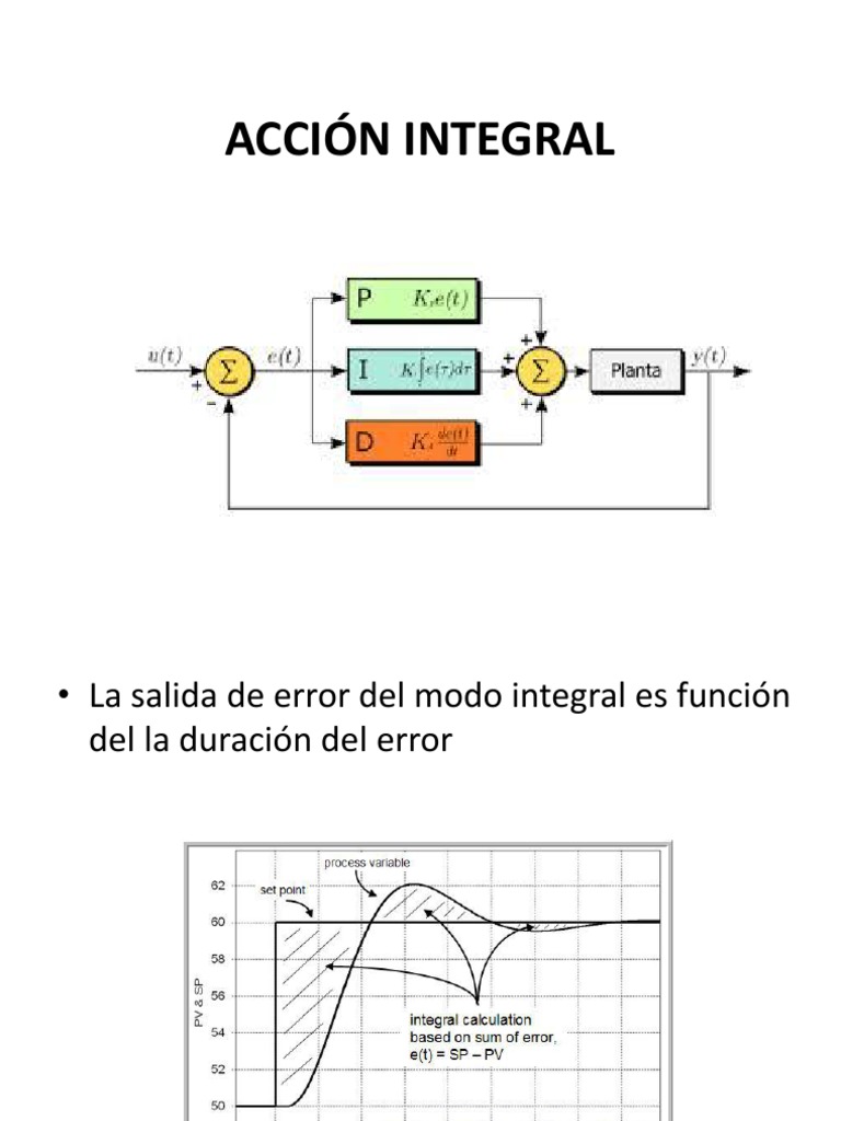 Acción Integral | PDF | Science | Enseñanza de matemática