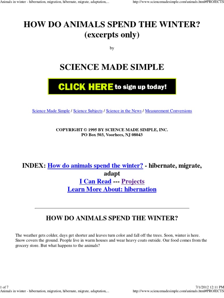 Animals in Winter - Hibernation, Migration, Hibernate, Migrate ...