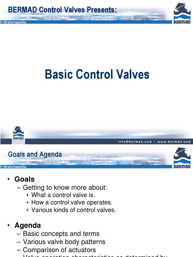 Basic Control Valves | PDF
