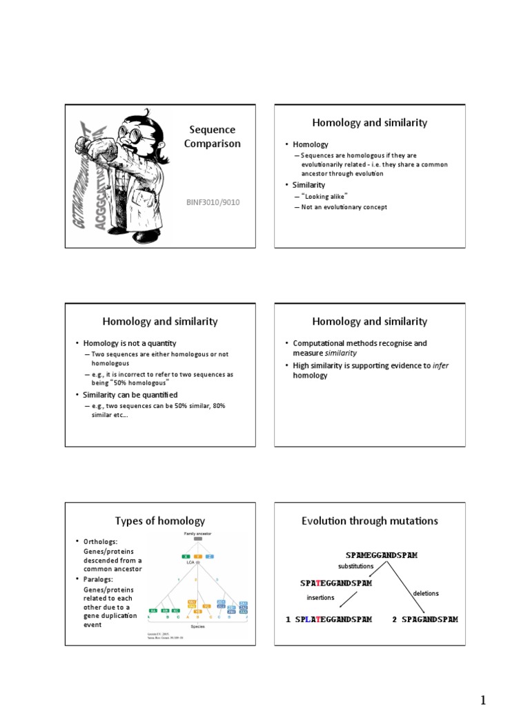Sequence Comparison Homology and Similarity | Download Free PDF ...