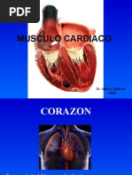 Esqueleto Fibroso del Corazón: Funciones y Estructura | PDF | Corazón ...