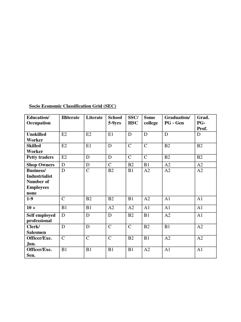 Socio Economic Classification Grid | PDF