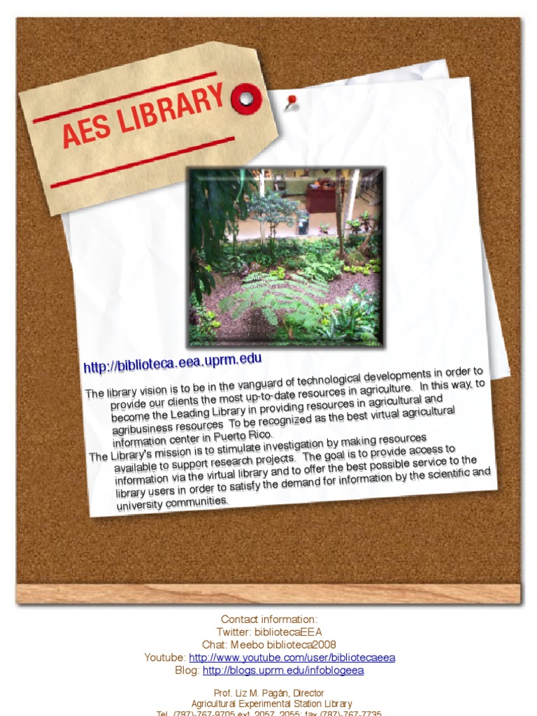 Handout Library Services Eea 2009 | PDF