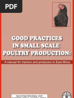 Poultry Production Management Guide | PDF | Chicken | Poultry Farming