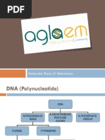MBI Mind Maps by Seep Pahuja | PDF | Dna | Rna
