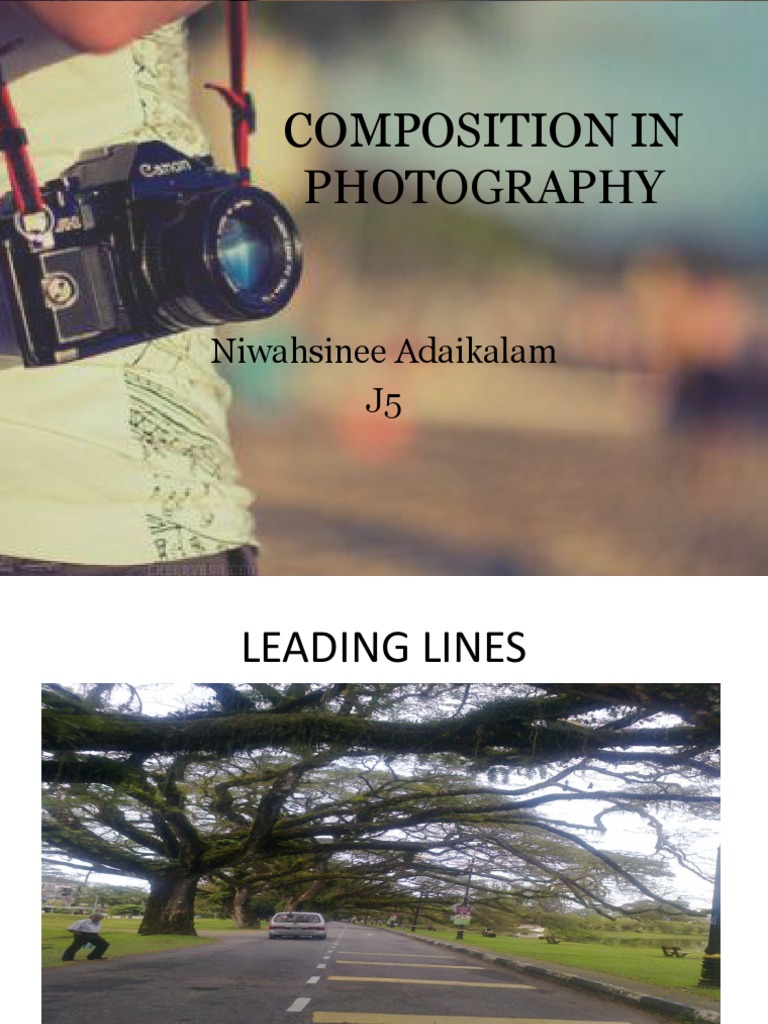 Composition in Photography | PDF