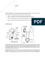 TARGET UTI Leaflet All Ages V1.1 DOC UKHSA | PDF | Urinary Tract ...