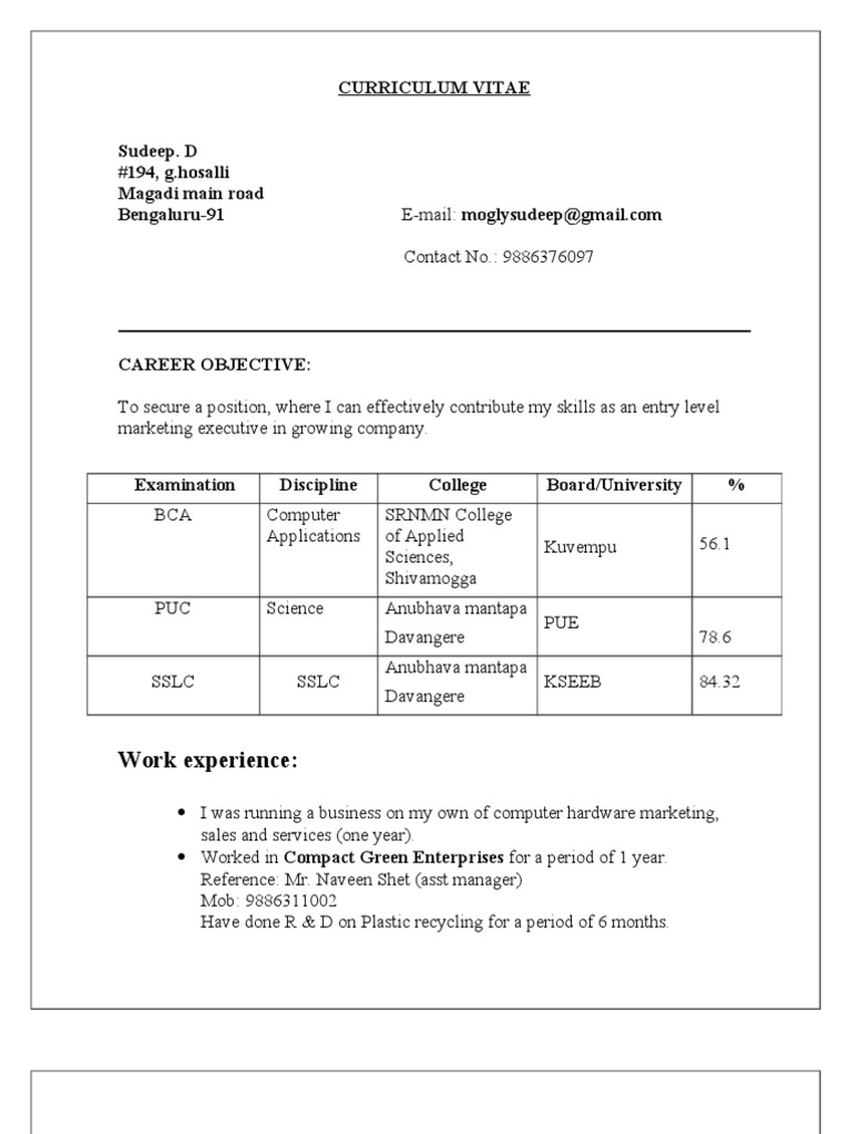 Work Experience:: Curriculum Vitae | PDF