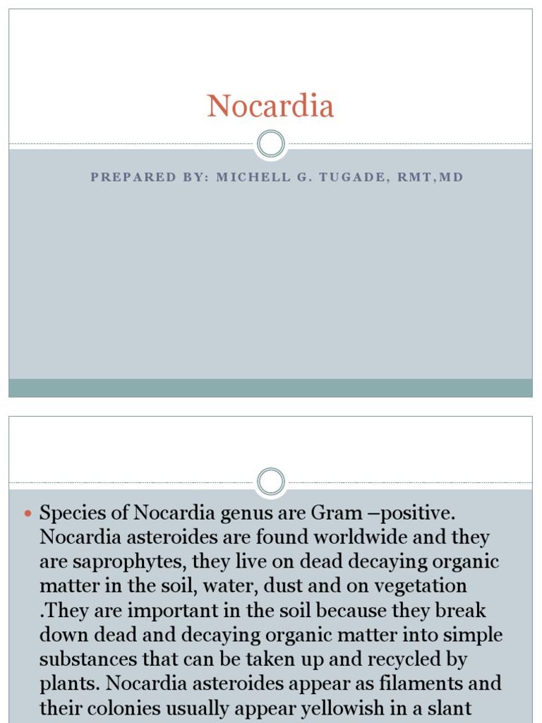 Nocardia, Bordetella, Haemophilus | PDF | Immunology | Microbiology