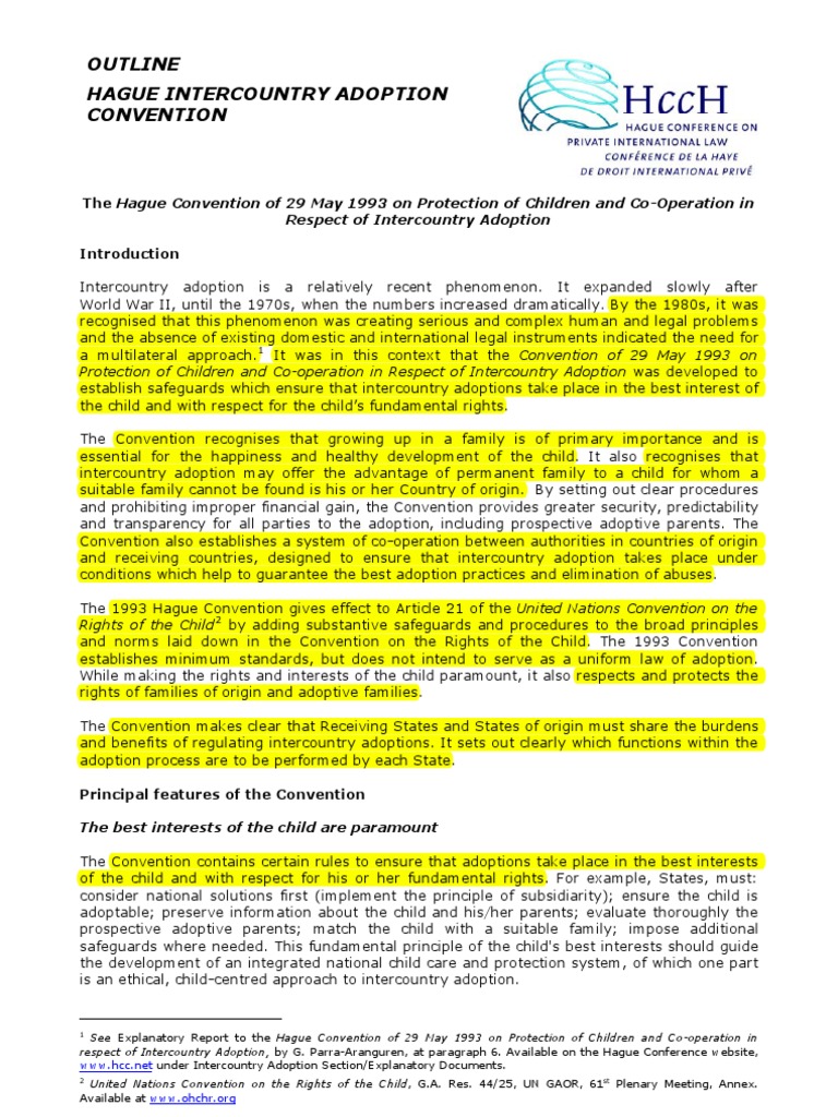 Hague Intercountry Adoption | PDF | Best Interests | International ...