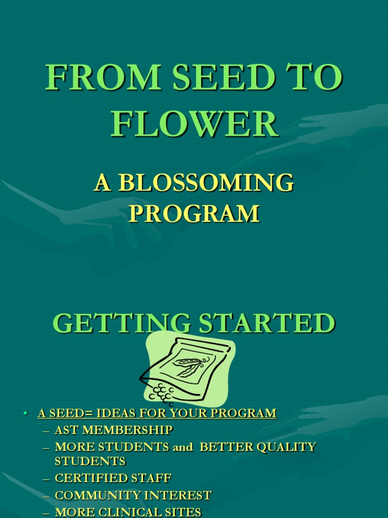 From Seed To Flower: A Blossoming Program | PDF | Nursing | Wellness