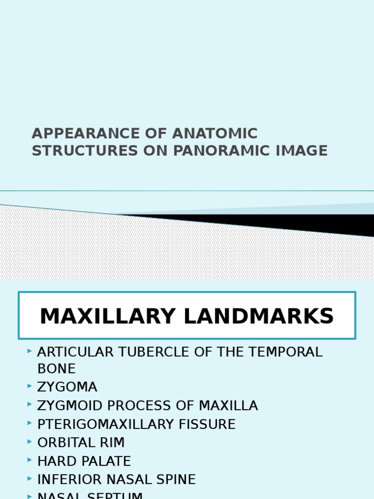 Appearance of Anatomic Structures On Panoramic Image | PDF | Human ...