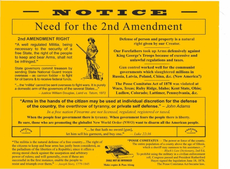 2nd Ammendment Flyer | Download Free PDF | Second Amendment To The ...