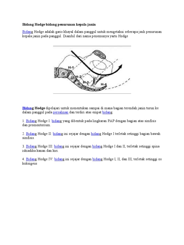 Bidang Hodge Bidang Penurunan Kepala Janin | PDF