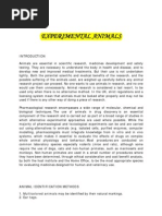 JAX Mouse Pup Age Appearance Guide | PDF