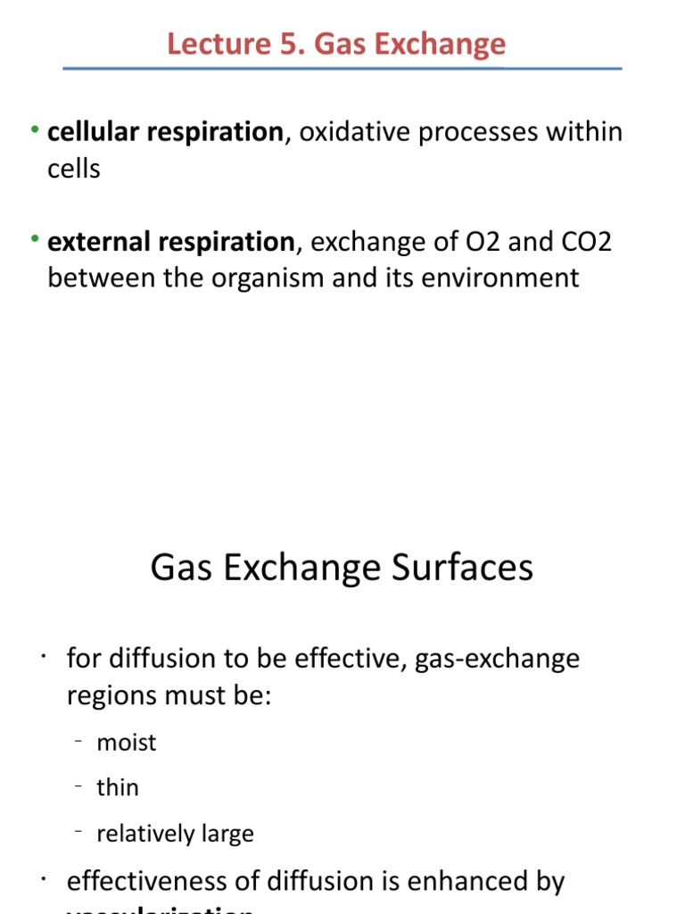 Lecture 5. Gas Exchange: Cellular Respiration, Oxidative Processes ...