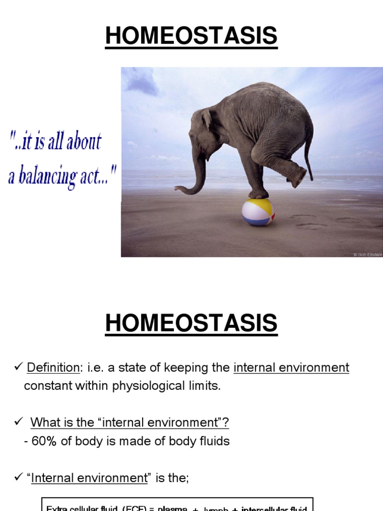 HOMEOSTASIS - Lecture (Human Biology) | PDF | Homeostasis | Stimulus ...