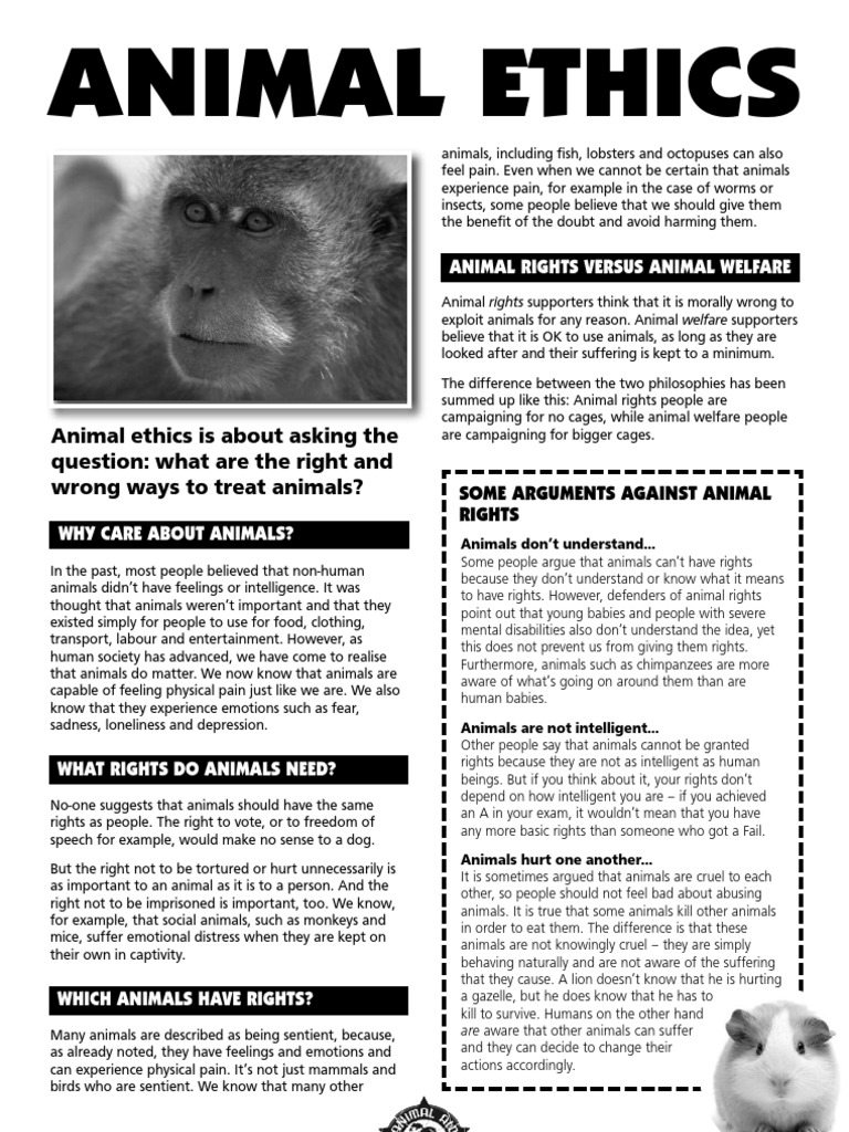 Animal Ethics | PDF | Ahimsa | Animal Rights