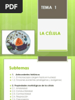 linea del tiempo teoria celular.pptx