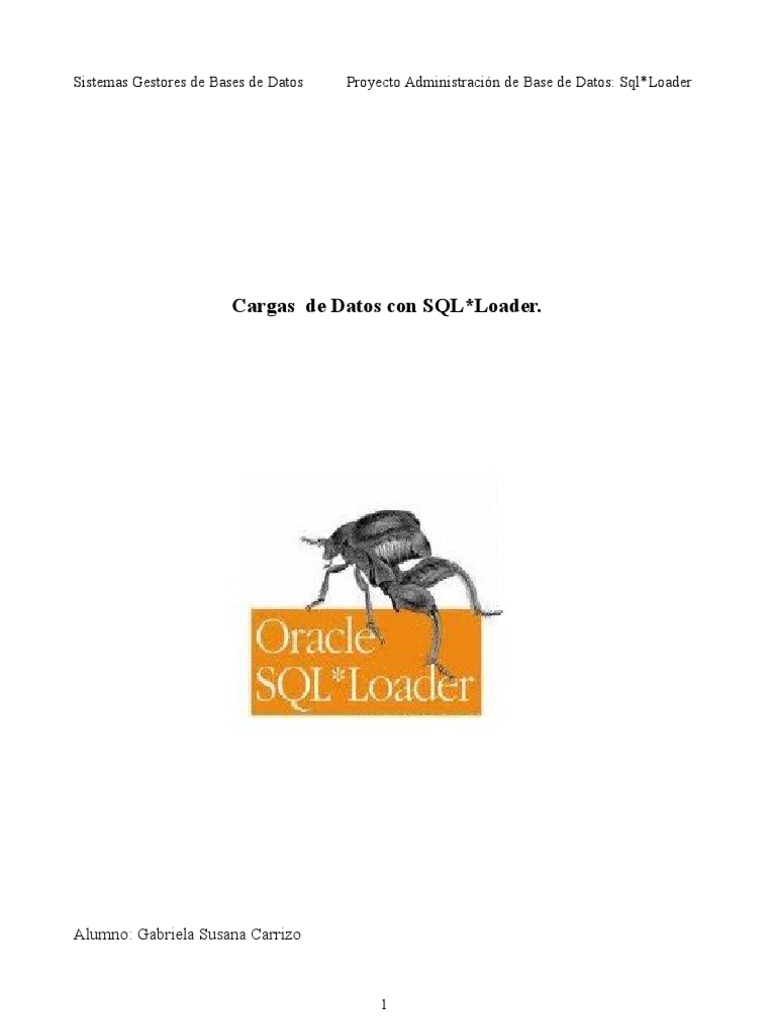 SQL Loader | PDF | SQL | Archivo de computadora SQL Loader | PDF | SQL | Archivo de computadora