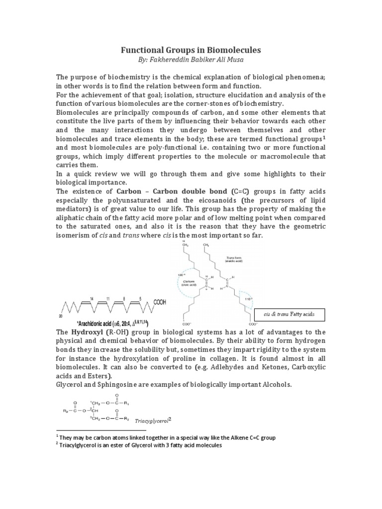 Functional Groups In Biomoleculespdf Carboxylic Acid Biomolecules 