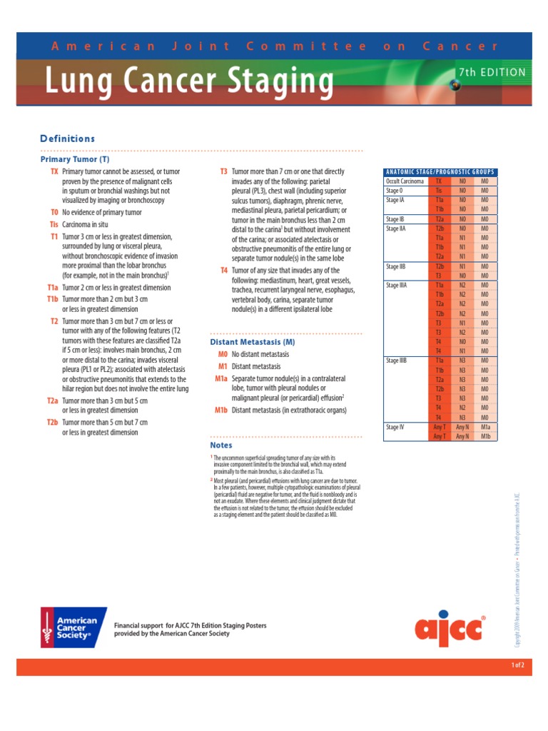 Lung Cancer Staging Ajcc 7th Ed | PDF